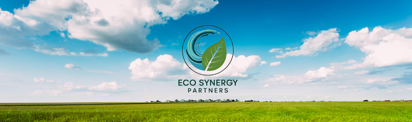 Eco Synergy Partners